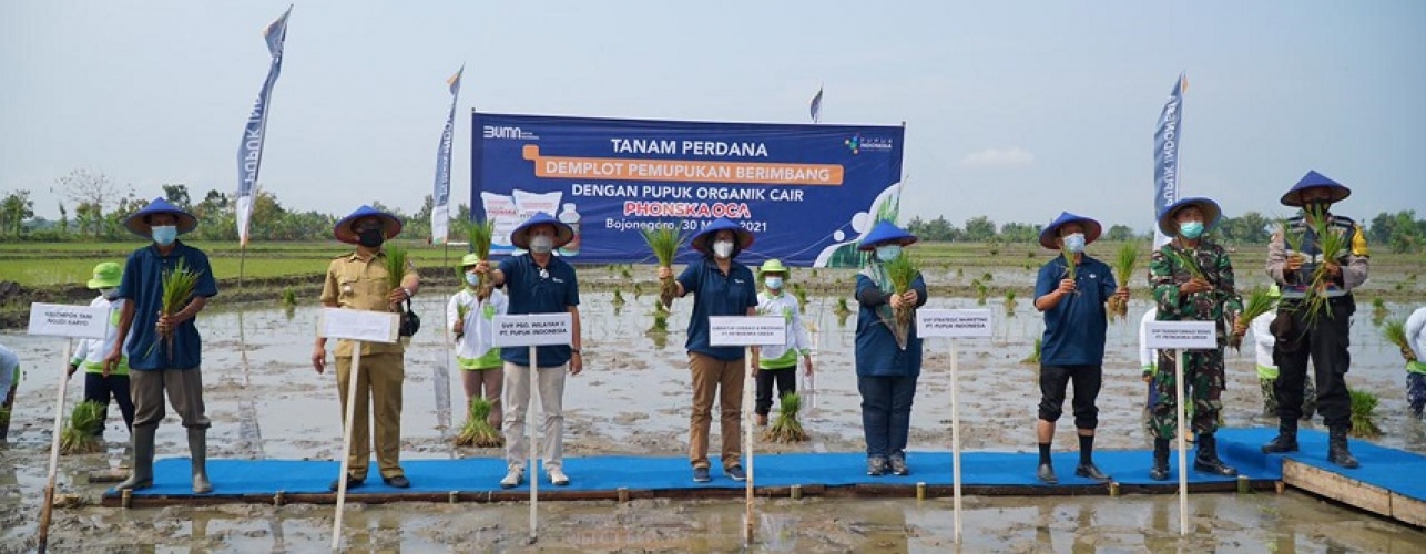 Mampu Tingkatkan Produktivitas Tanaman Hingga 61%, Pupuk indonesia ...