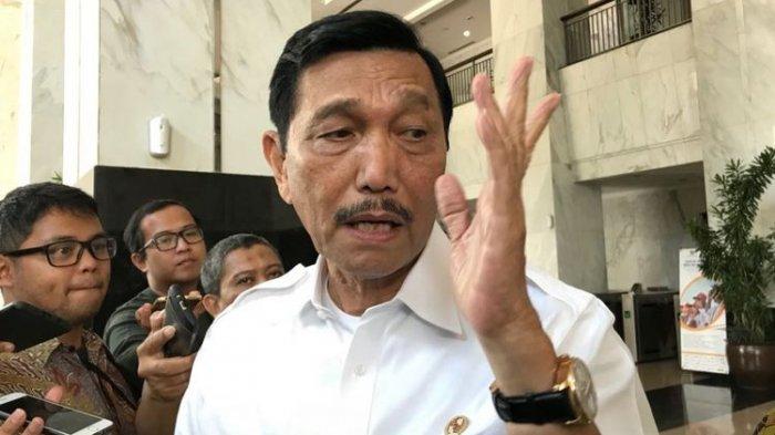 Menko Marves: Investasi Tesla Butuh Waktu dan Proses