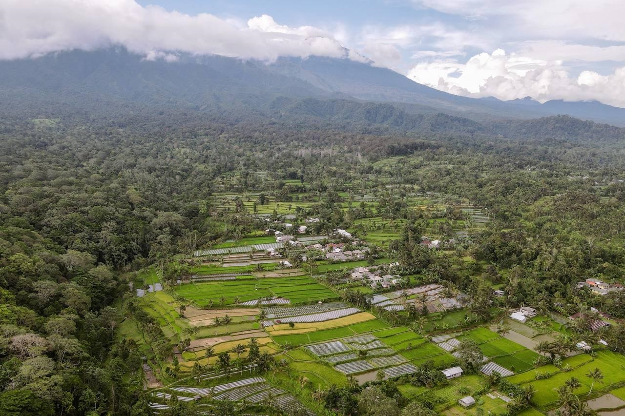 Desa Tetebatu Jadi Inspirasi dalam Pengembangan Desa Wisata - Suara ...