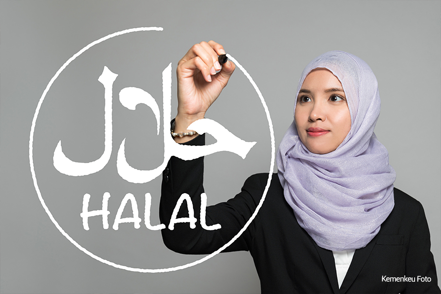Cek Status Sertifikasi Halal Produk di halal.go.id, Ini Caranya