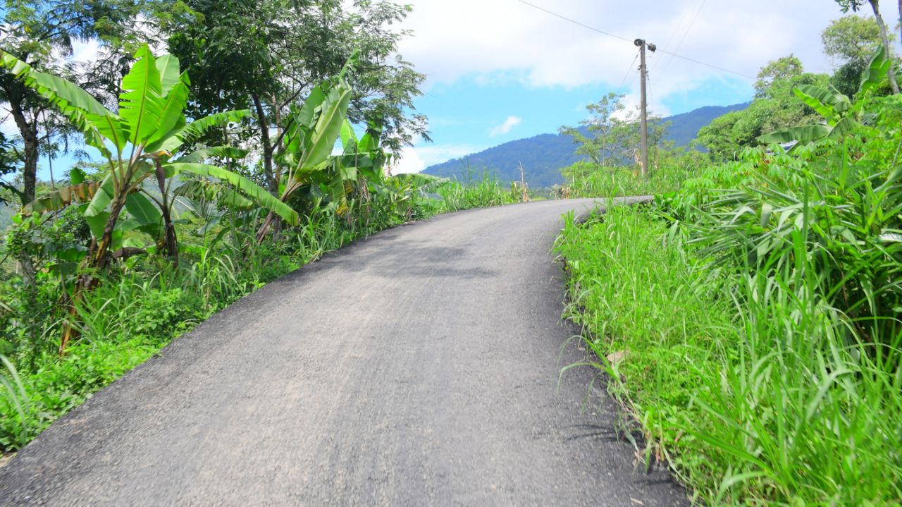 Bupati Pekalongan Resmikan Ruas Jalan Gembong - Klesem Sepanjang 4,1 Km
